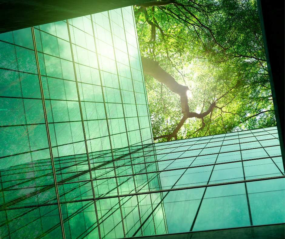 Global Partnerships – Zagwear